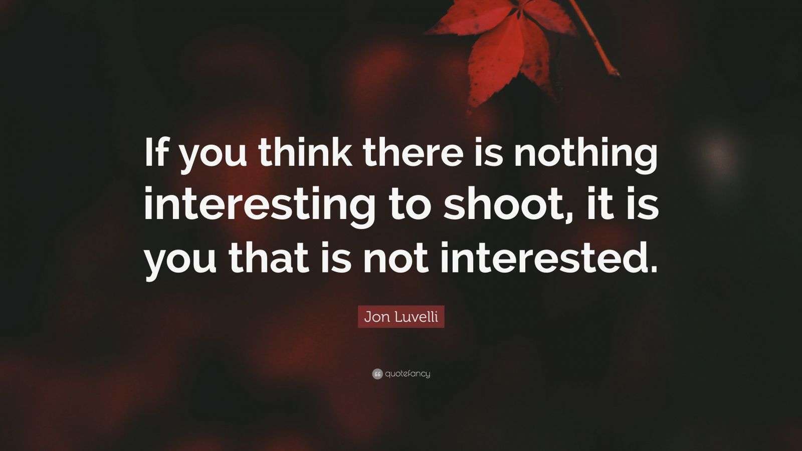Jon Luvelli Quote: “If you think there is nothing interesting to shoot ...