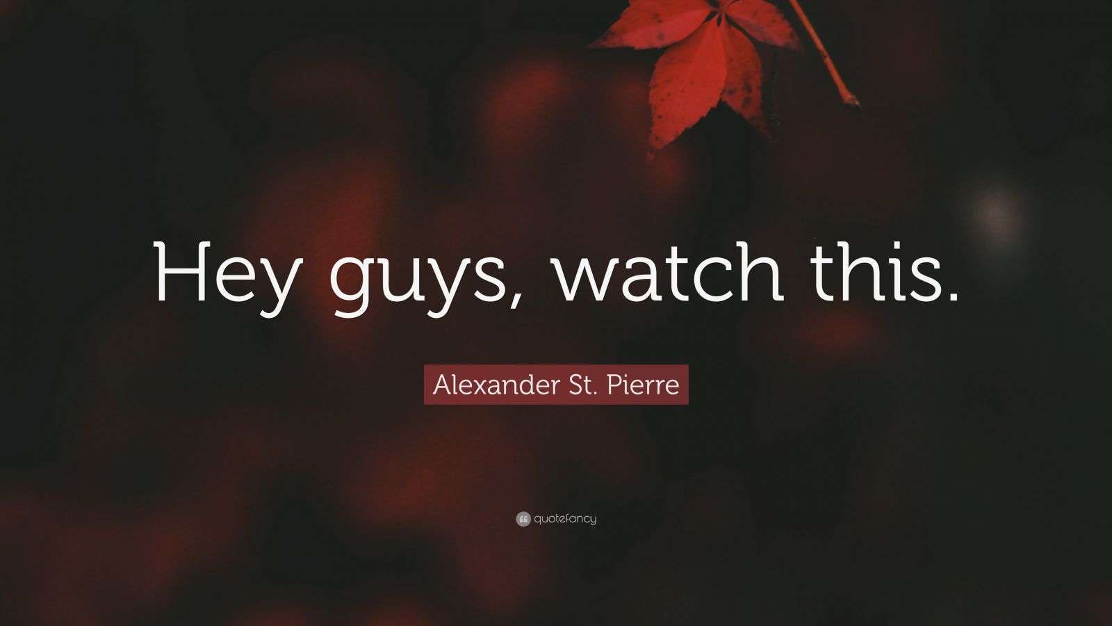 Alexander St. Pierre Quote: “Hey guys, watch this.”