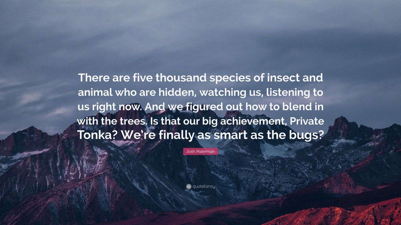Josh Malerman Quote: “There are five thousand species of insect and ...