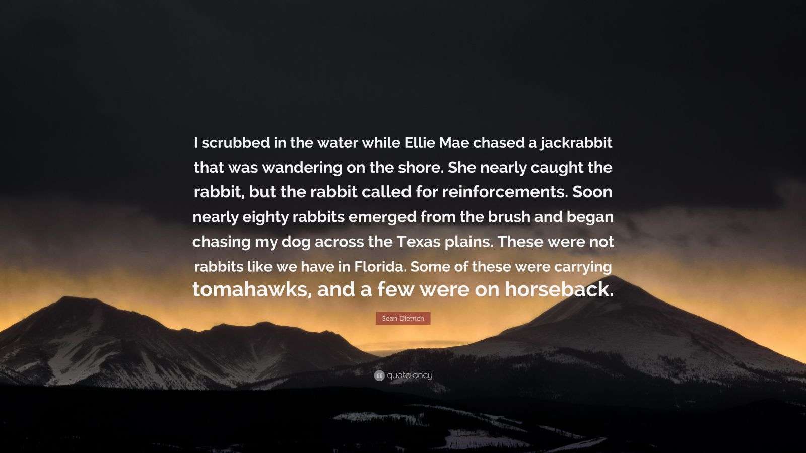Sean Dietrich Quote: “I scrubbed in the water while Ellie Mae chased a ...