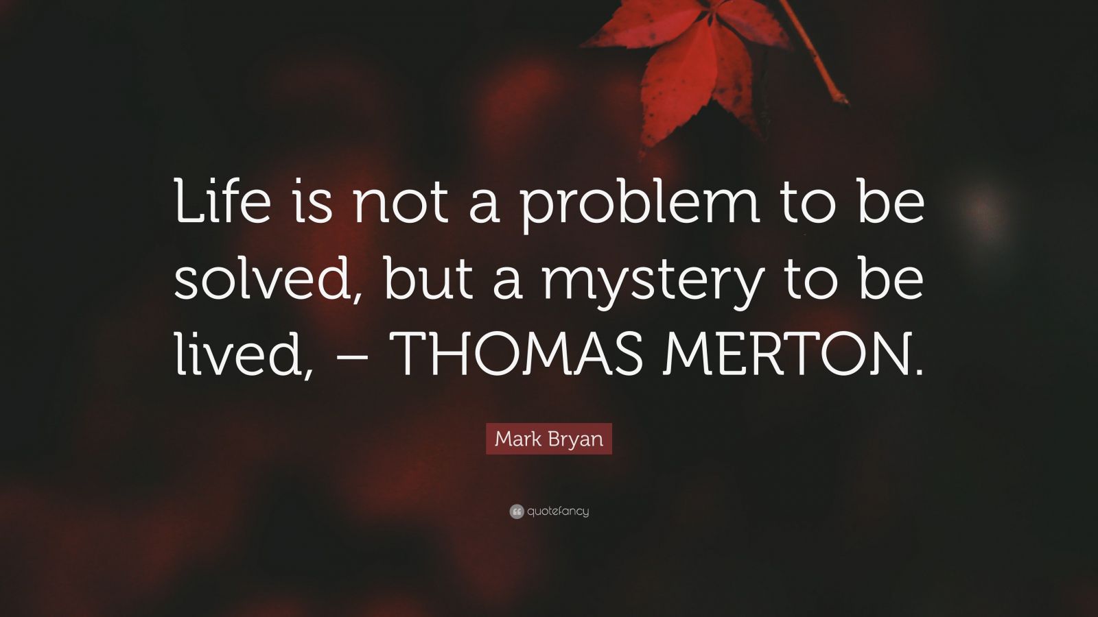 Mark Bryan Quote: “Life is not a problem to be solved, but a mystery to ...