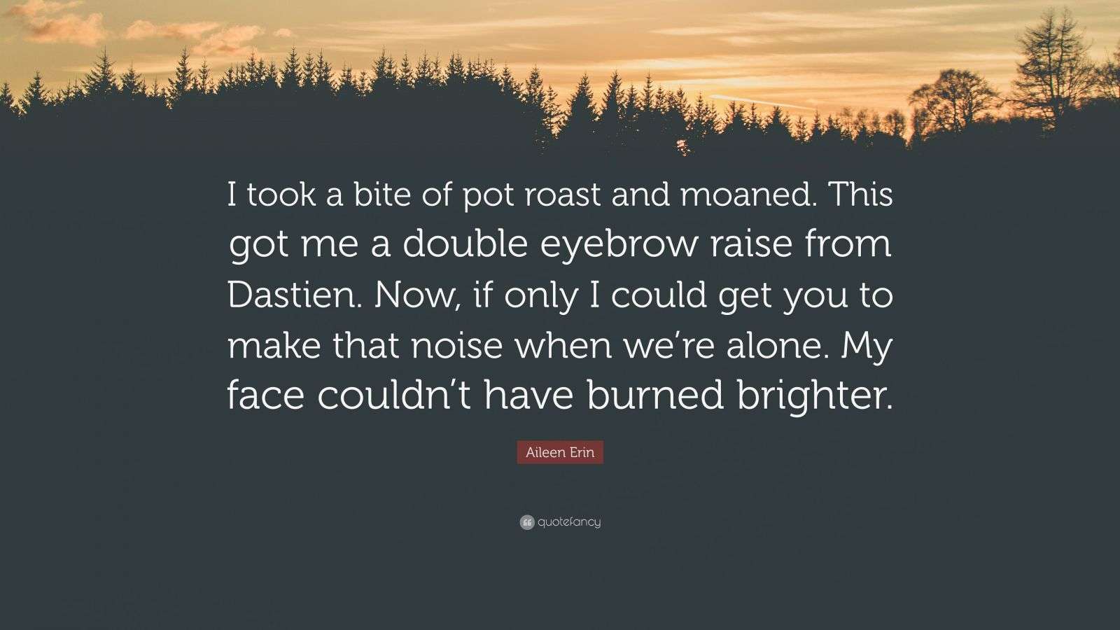 Aileen Erin Quote: “I took a bite of pot roast and moaned. This got me ...