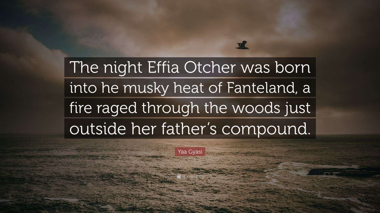 Yaa Gyasi Quote: “The night Effia Otcher was born into he musky heat of ...