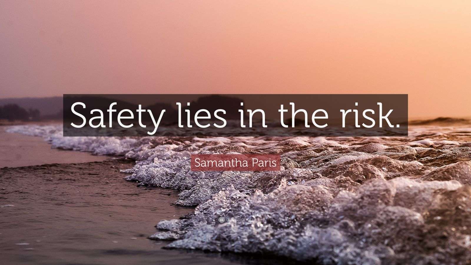 Samantha Paris Quote: “Safety lies in the risk.”