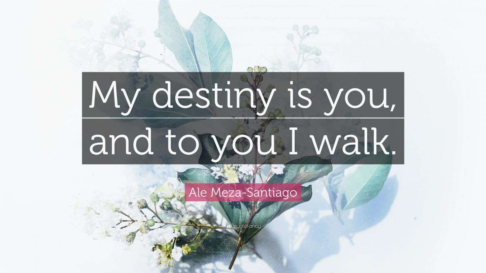 Ale Meza-Santiago Quote: “My destiny is you, and to you I walk.”