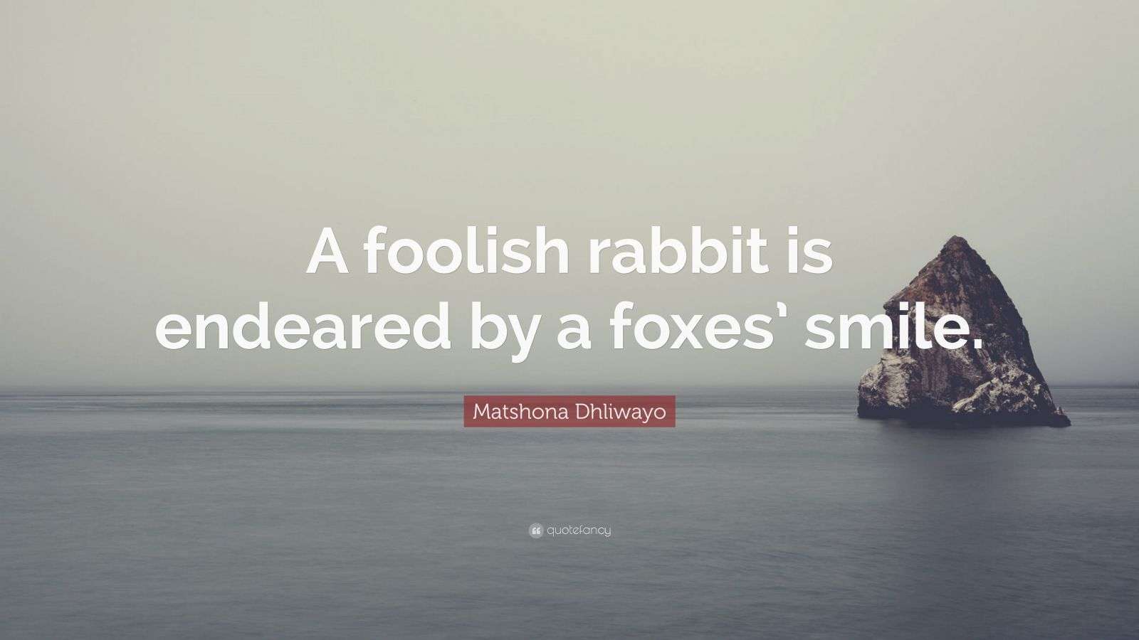 Matshona Dhliwayo Quote: “A foolish rabbit is endeared by a foxes’ smile.”