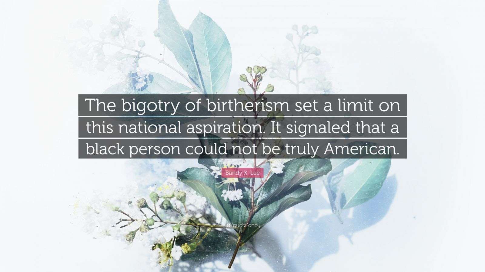 Bandy X. Lee Quote: “The bigotry of birtherism set a limit on this ...