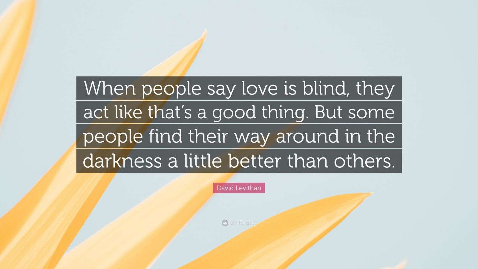David Levithan Quote: “When people say love is blind, they act like ...