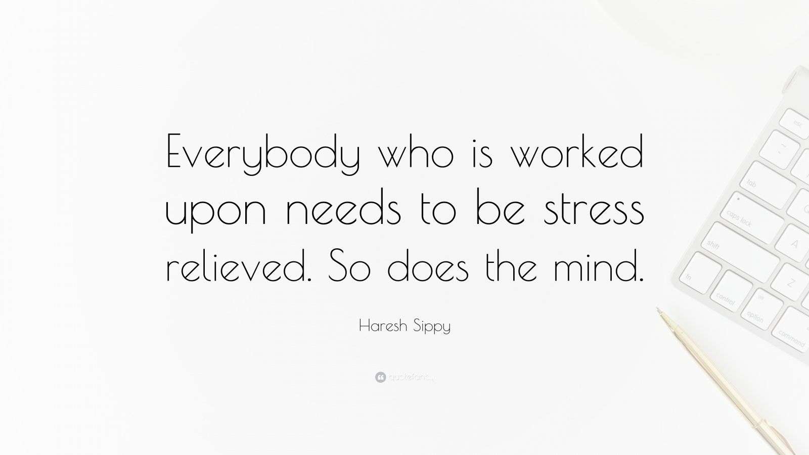 Haresh Sippy Quote: “Everybody who is worked upon needs to be stress ...