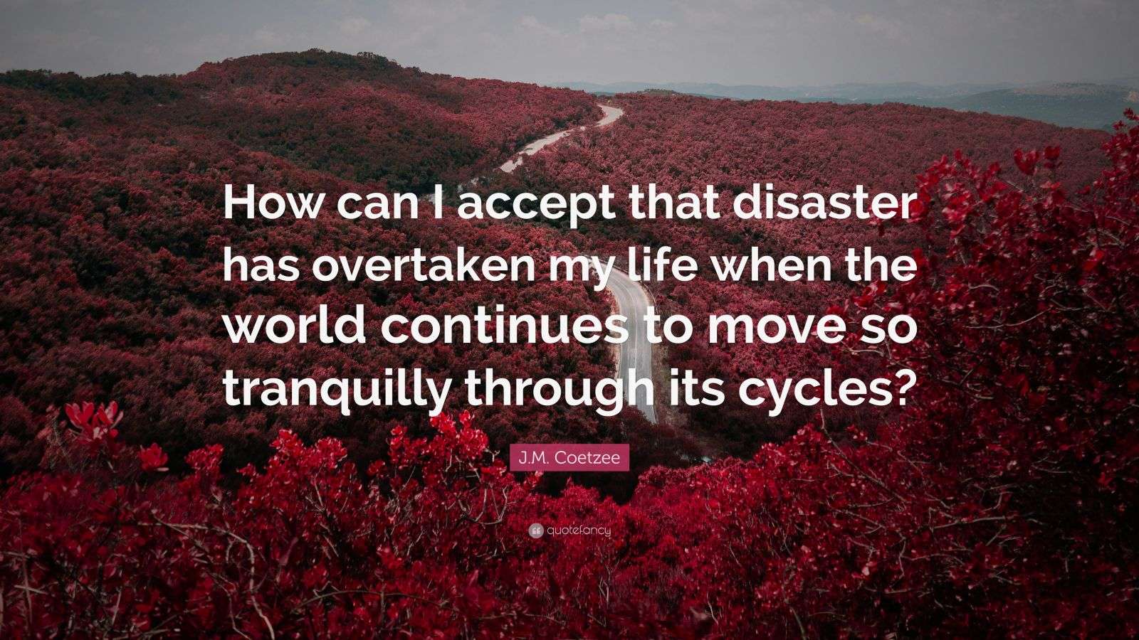 J.M. Coetzee Quote: “How can I accept that disaster has overtaken my ...