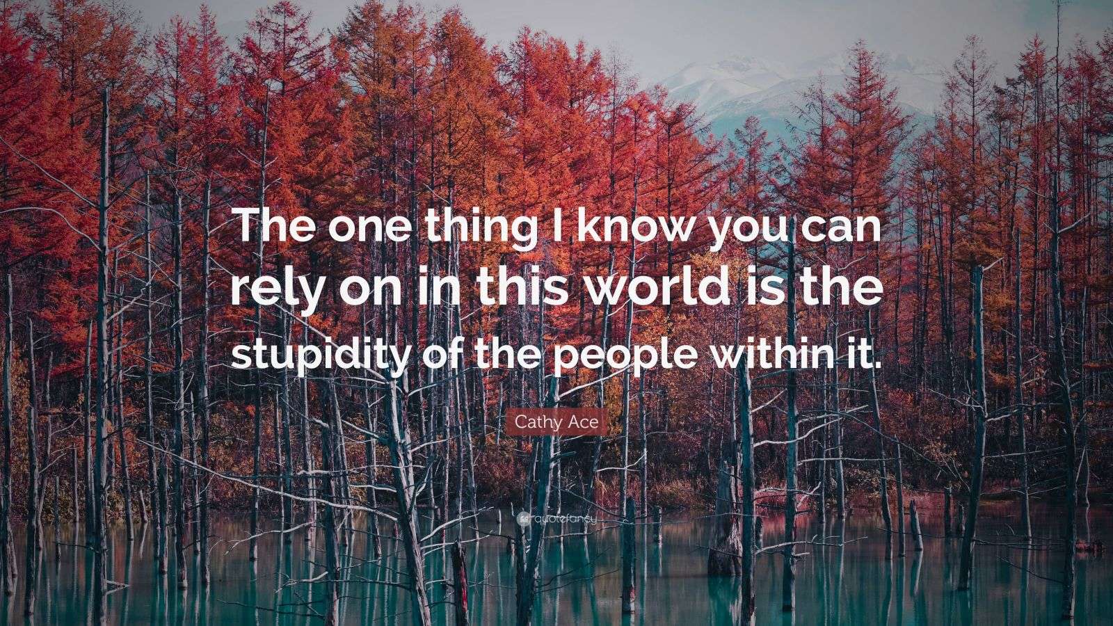 Cathy Ace Quote: “The one thing I know you can rely on in this world is ...