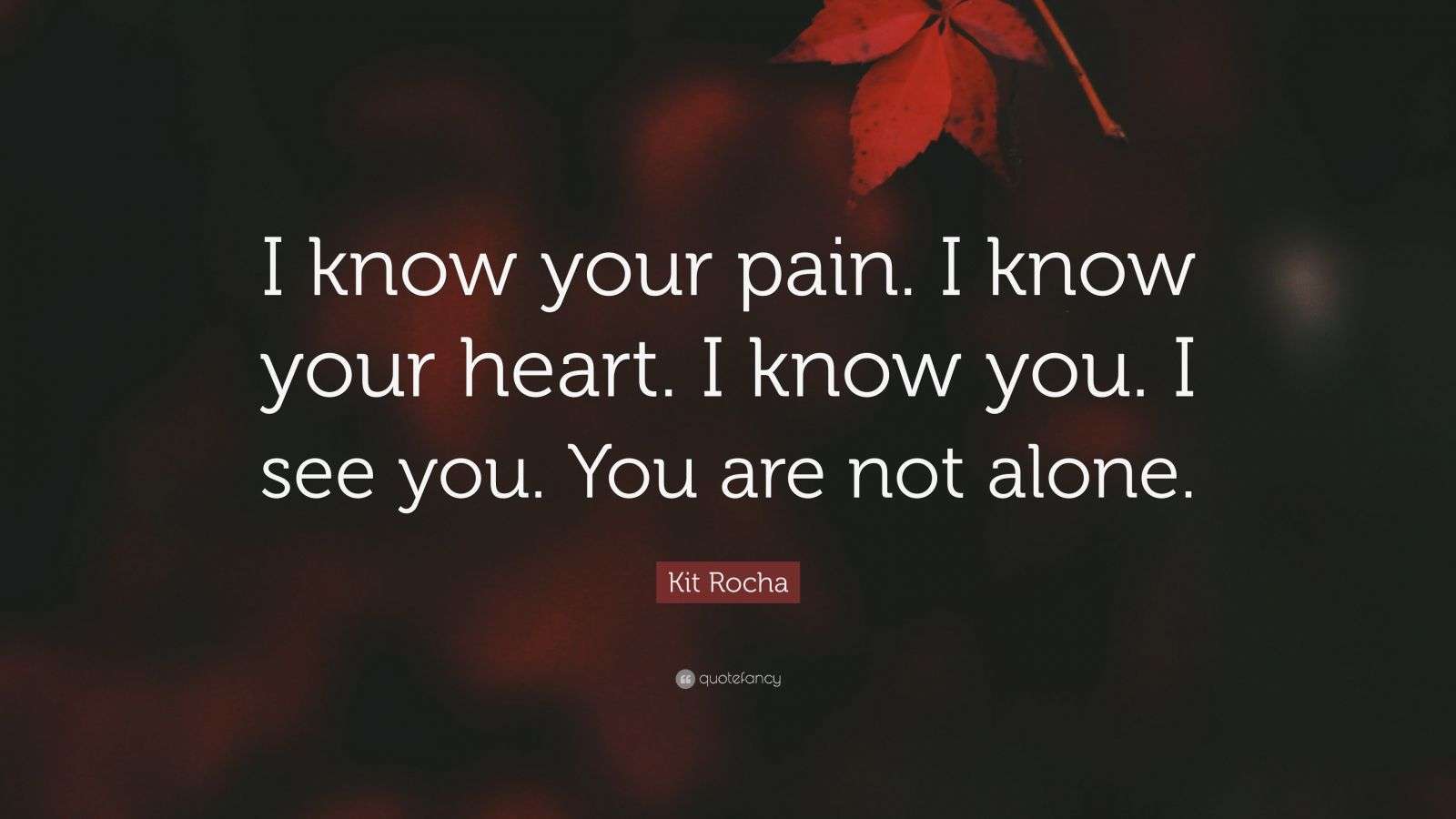 Kit Rocha Quote: “I know your pain. I know your heart. I know you. I see you. You are not alone.”
