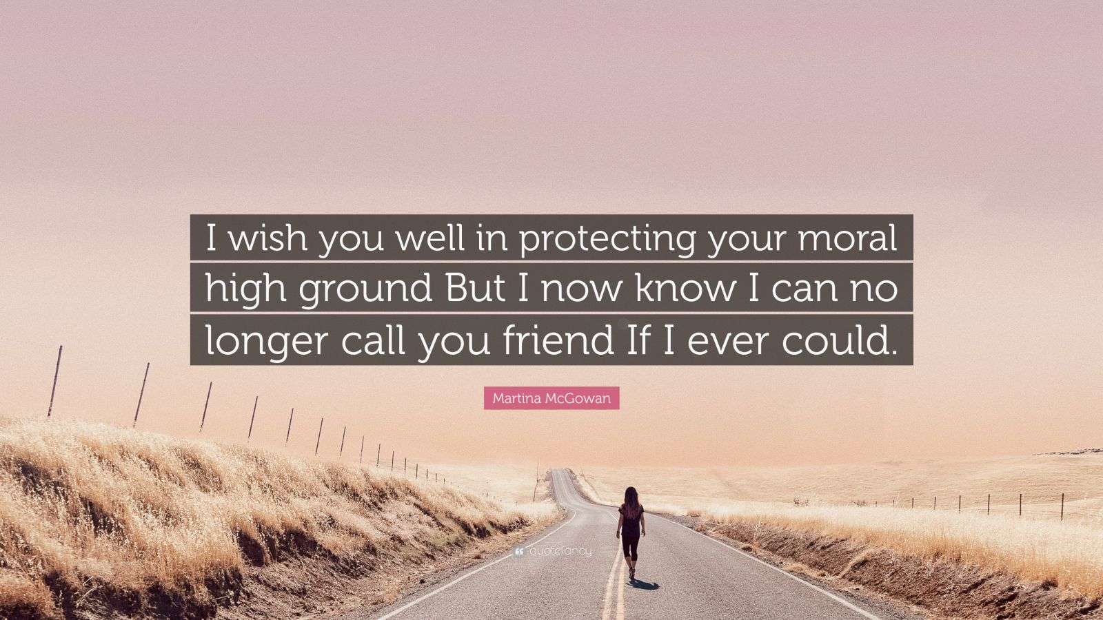 Martina McGowan Quote: “I wish you well in protecting your moral high ...