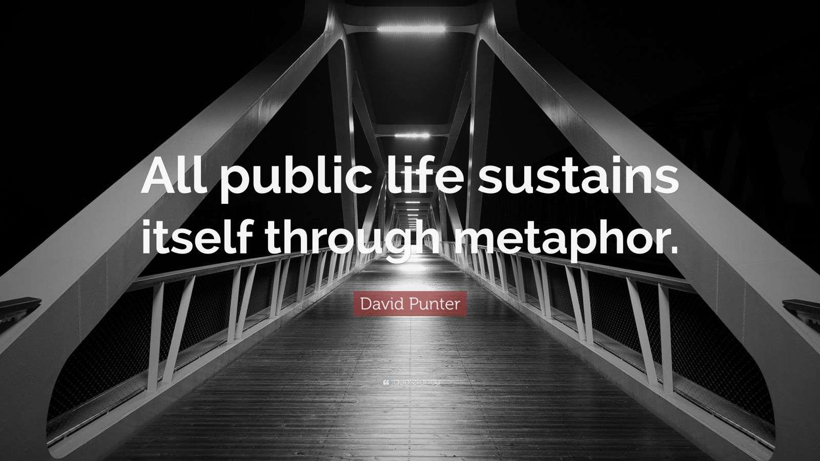 David Punter Quote: “All public life sustains itself through metaphor.”