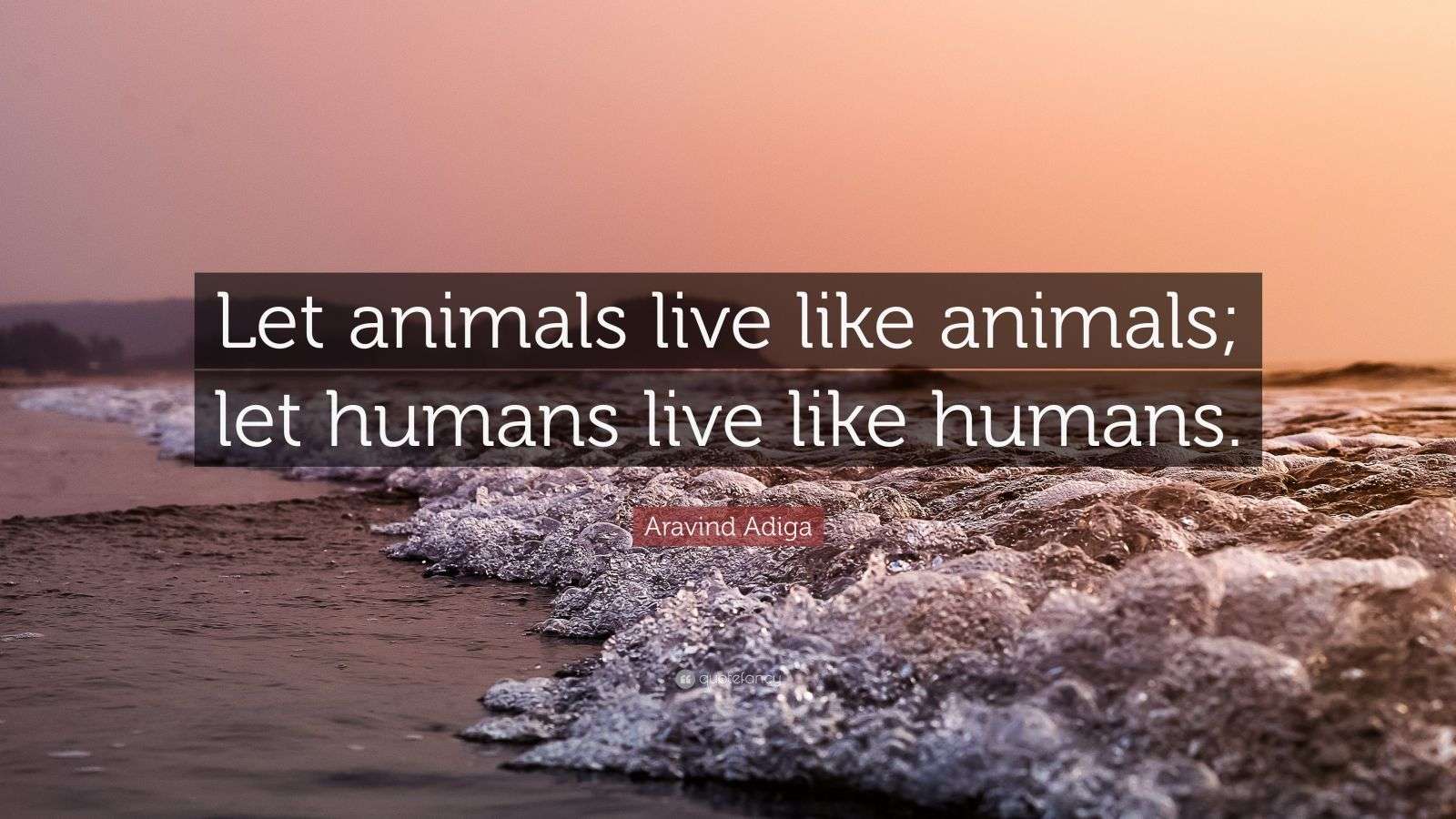 Aravind Adiga Quote: “Let animals live like animals; let humans live ...