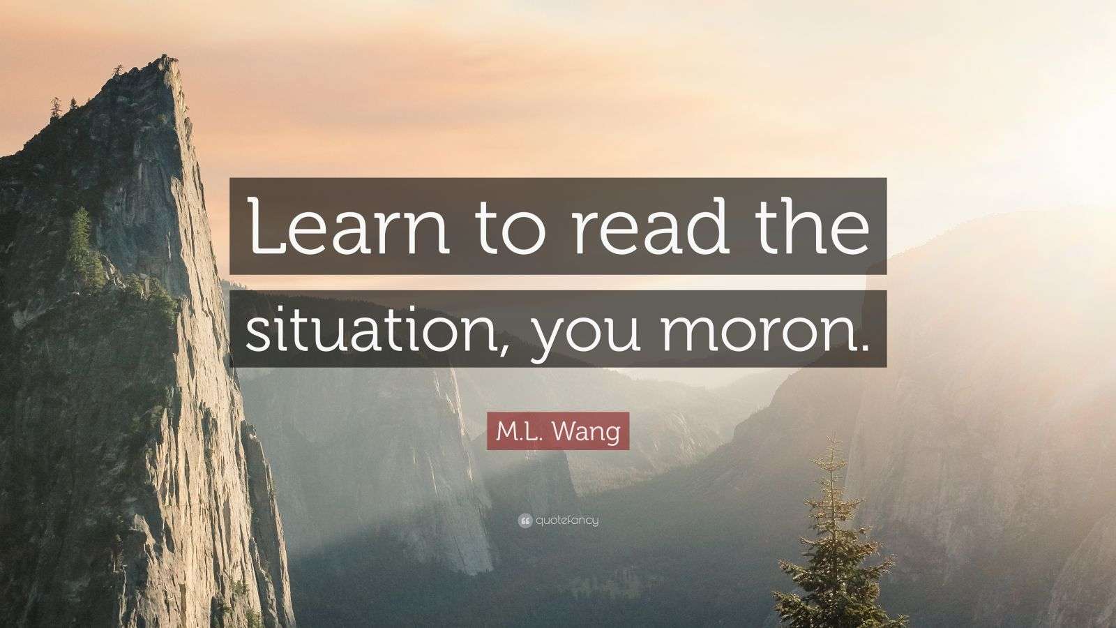 M.L. Wang Quote: “Learn to read the situation, you moron.”