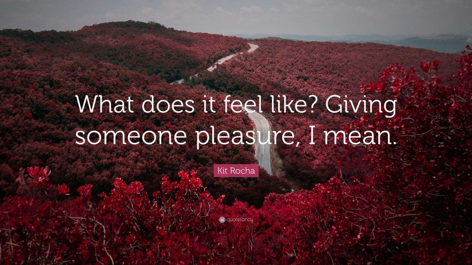 Kit Rocha Quote: “What does it feel like? Giving someone pleasure, I mean.”