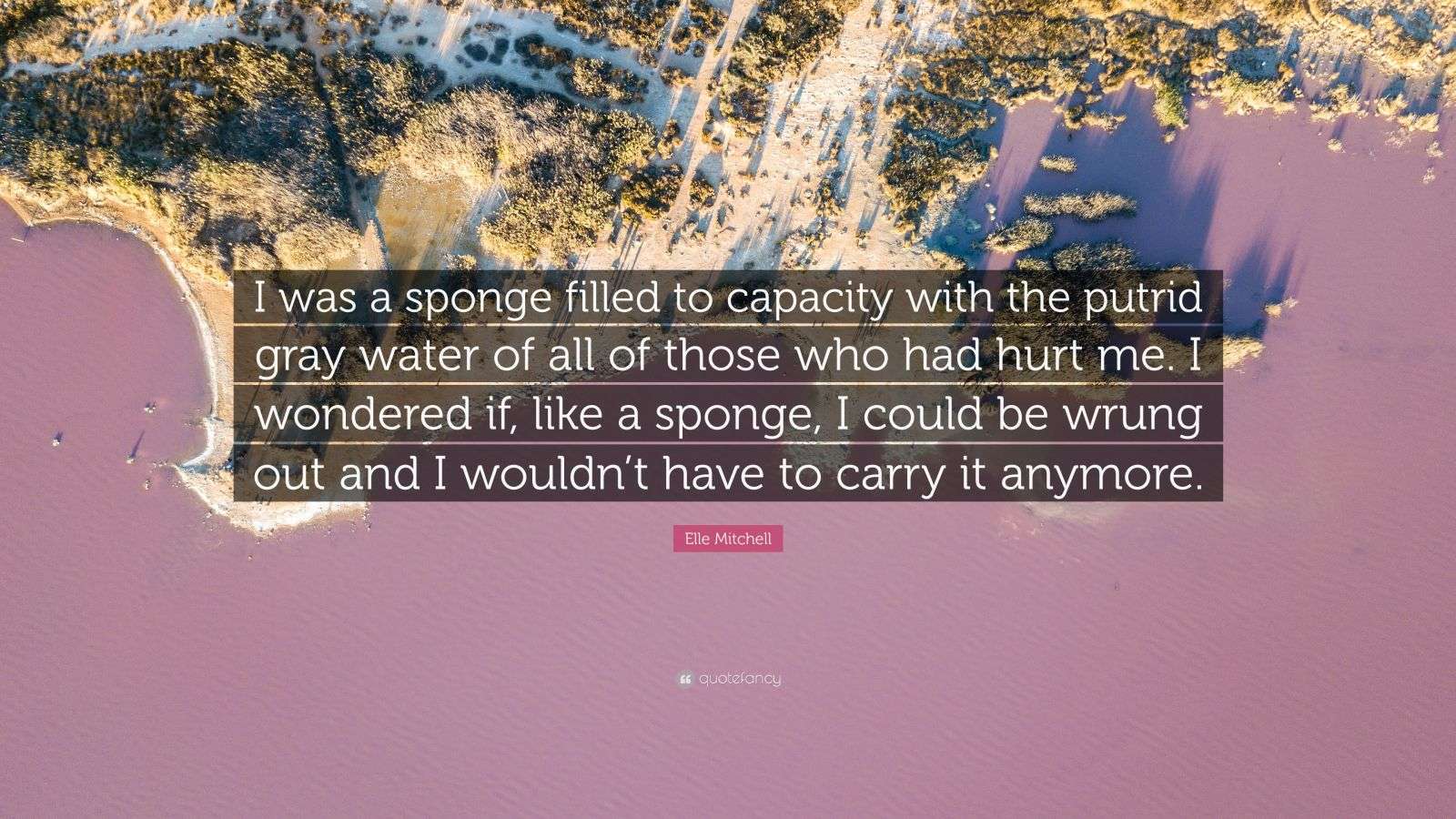 Elle Mitchell Quote: “I was a sponge filled to capacity with the putrid ...