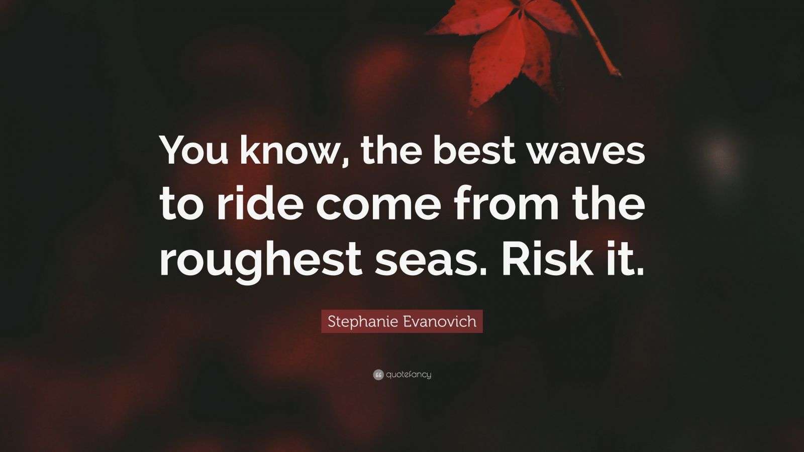 Top 4 Stephanie Evanovich Quotes (2026 Update) - QuoteFancy