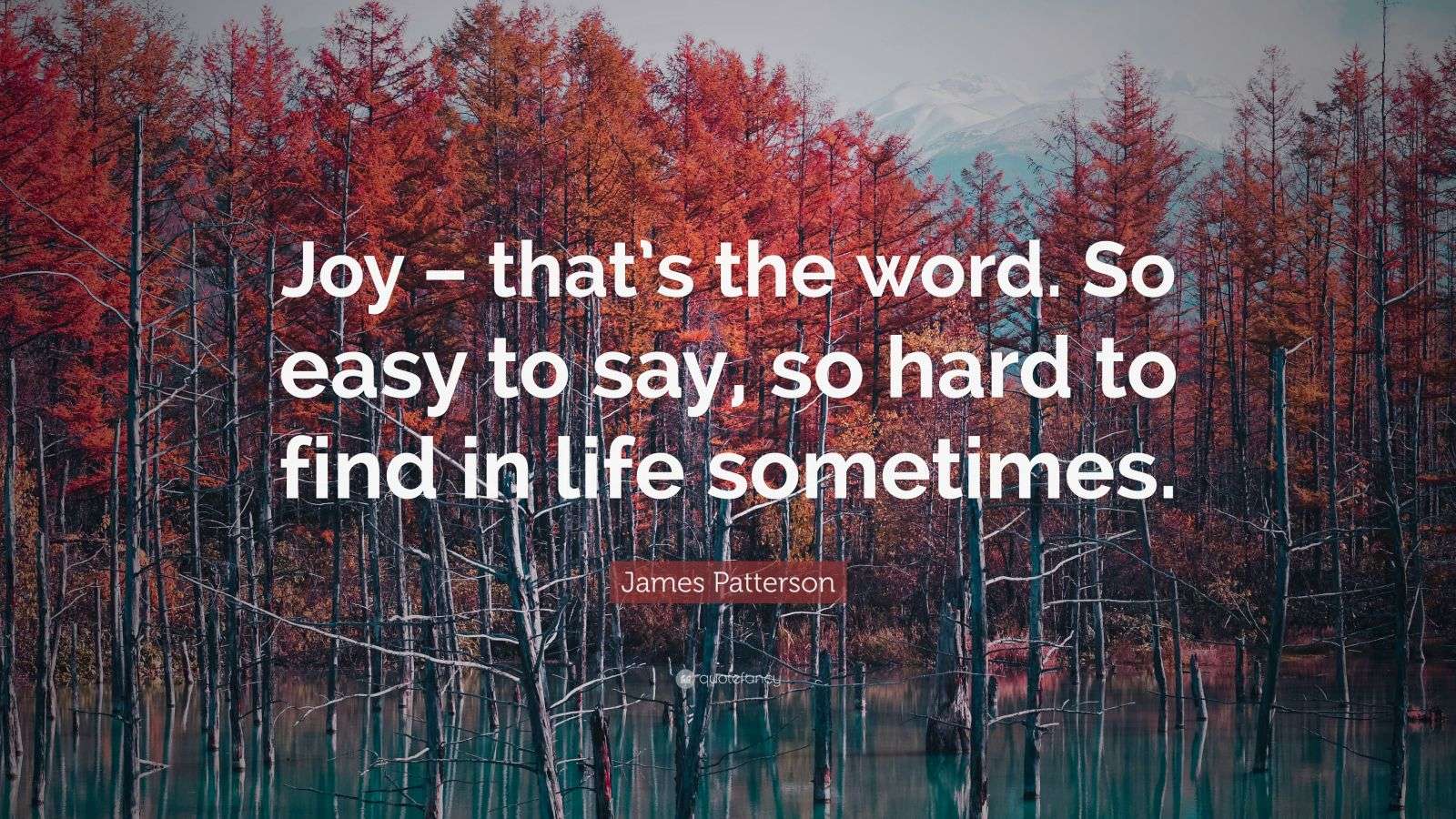 James Patterson Quote: “Joy – that’s the word. So easy to say, so hard ...