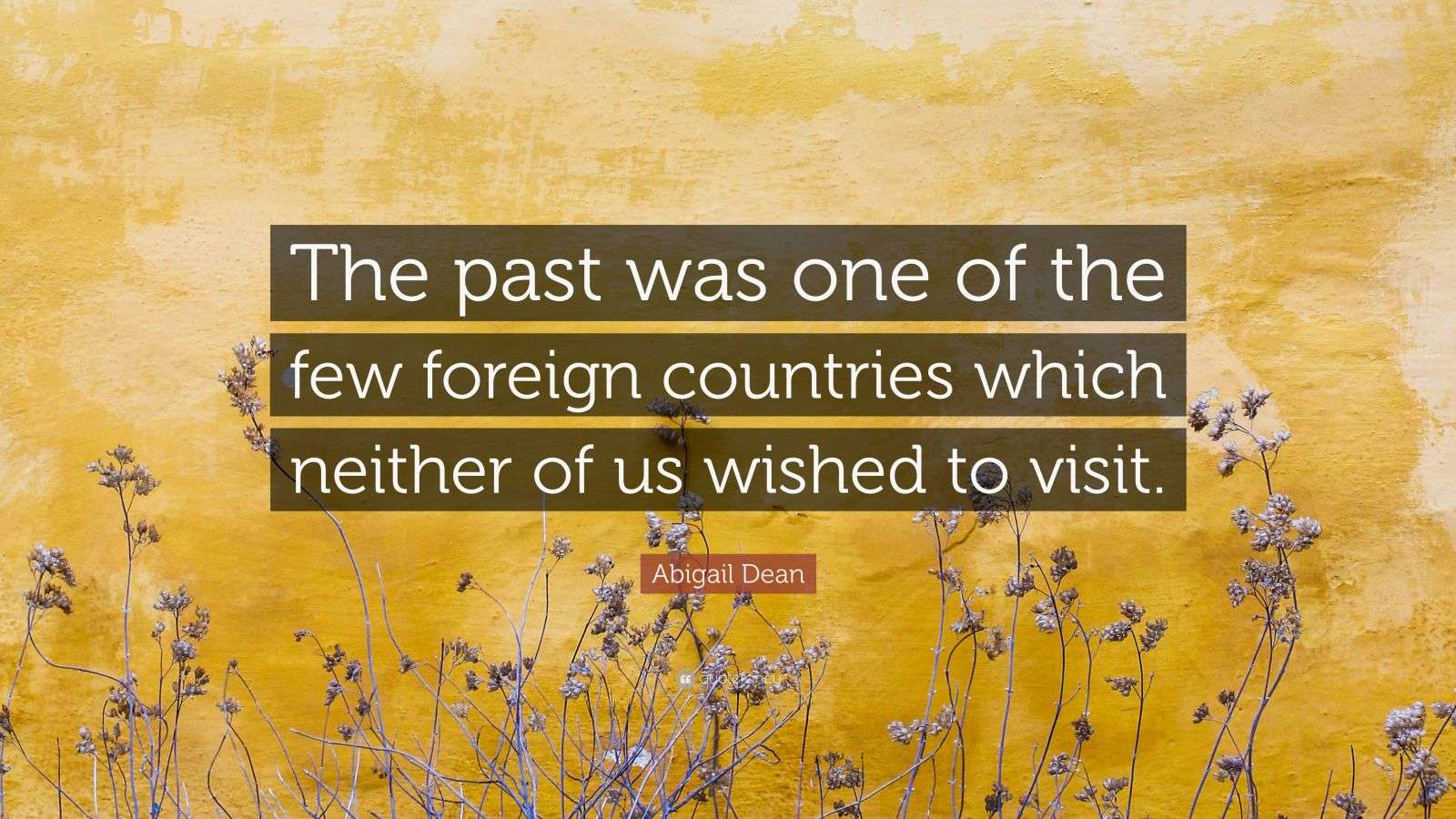 Abigail Dean Quote: “The past was one of the few foreign countries ...