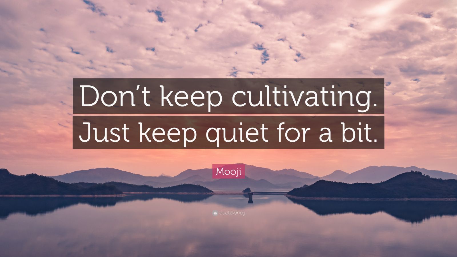Mooji Quote: “Don’t keep cultivating. Just keep quiet for a bit.”
