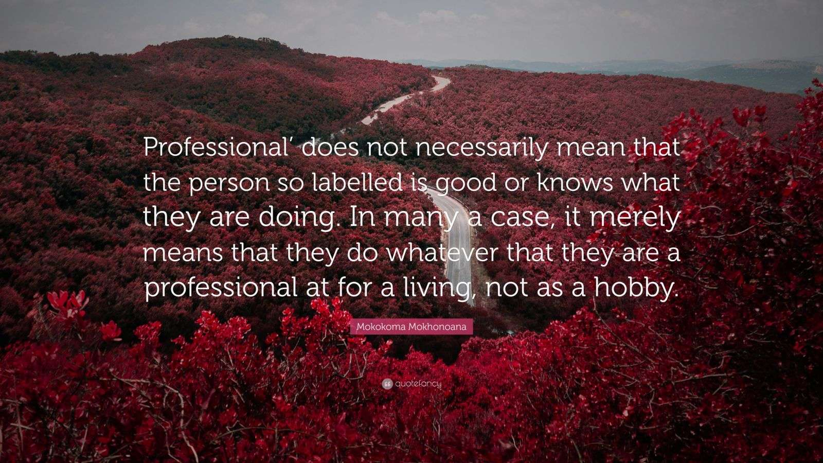 Mokokoma Mokhonoana Quote: “Professional’ does not necessarily mean ...