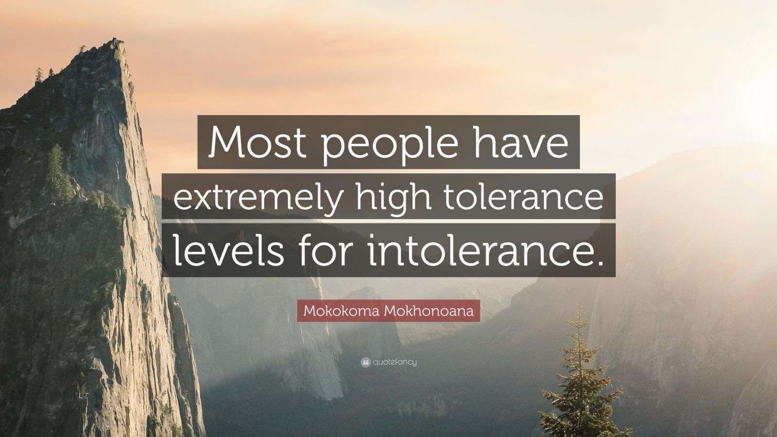Mokokoma Mokhonoana Quote: “Most people have extremely high tolerance ...