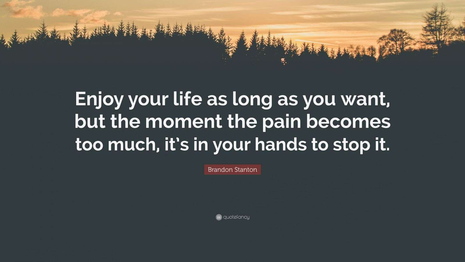 Brandon Stanton Quote: “Enjoy your life as long as you want, but the ...