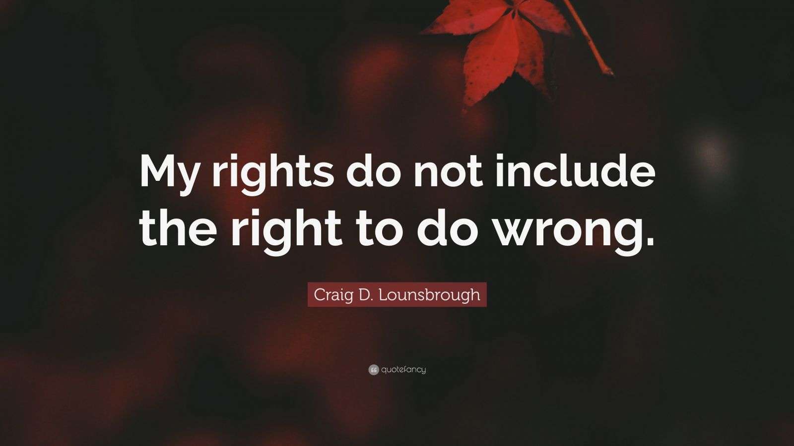 Craig D. Lounsbrough Quote: “My rights do not include the right to do ...