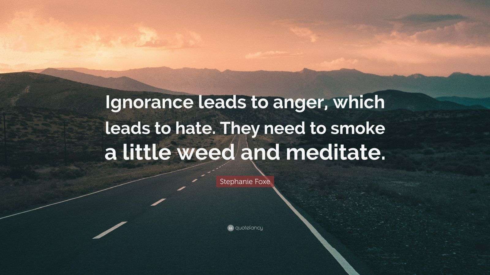 Stephanie Foxe Quote: “Ignorance leads to anger, which leads to hate ...