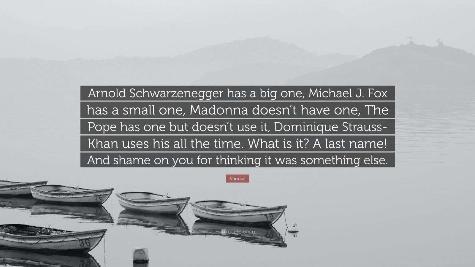 Various Quote: “Arnold Schwarzenegger has a big one, Michael J. Fox has ...