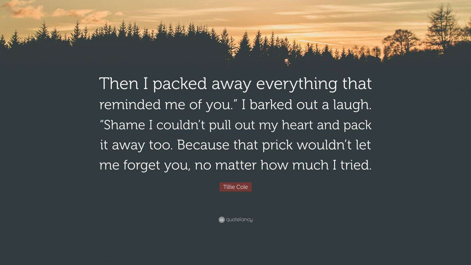 Tillie Cole Quote: “Then I packed away everything that reminded me of ...