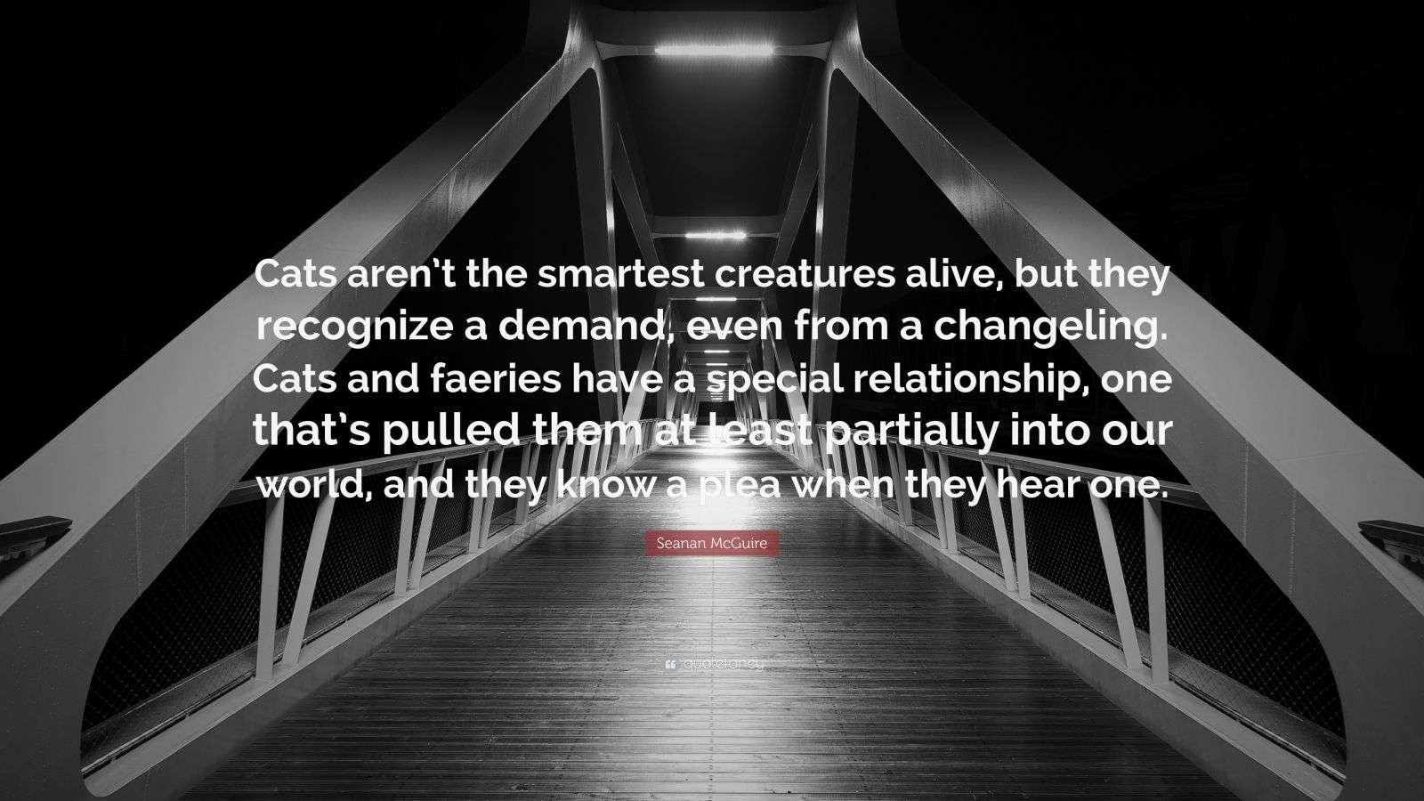 Seanan McGuire Quote: “Cats aren’t the smartest creatures alive, but ...