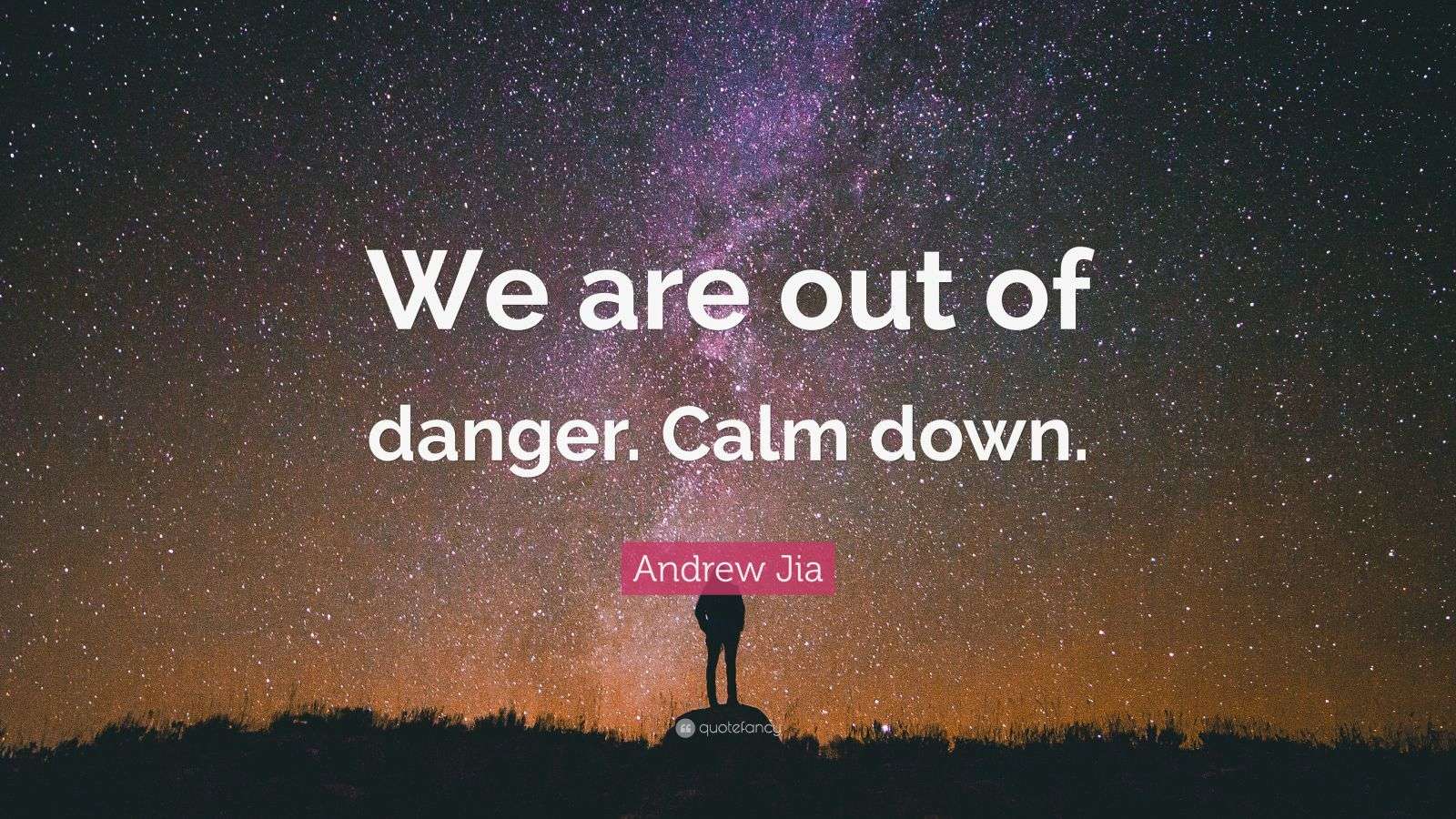 Andrew Jia Quote: “We are out of danger. Calm down.”