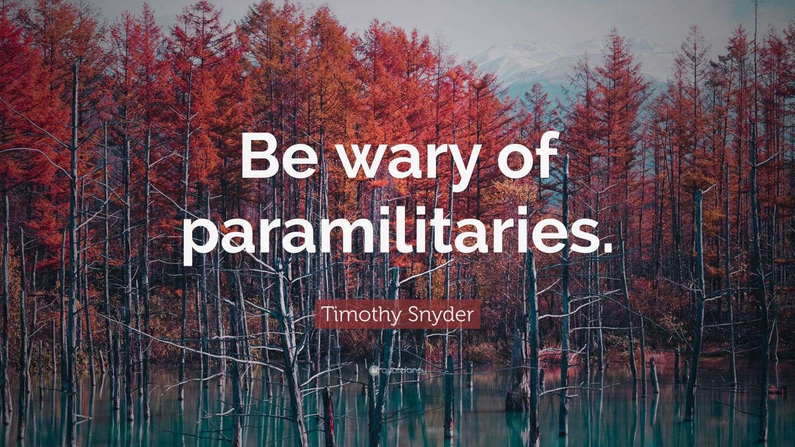 Timothy Snyder Quote: “Be wary of paramilitaries.”
