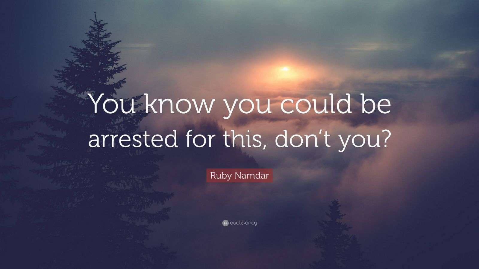Ruby Namdar Quote: “You know you could be arrested for this, don’t you?”