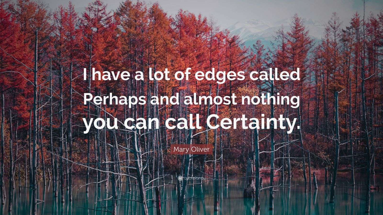 Mary Oliver Quote: “I have a lot of edges called Perhaps and almost ...