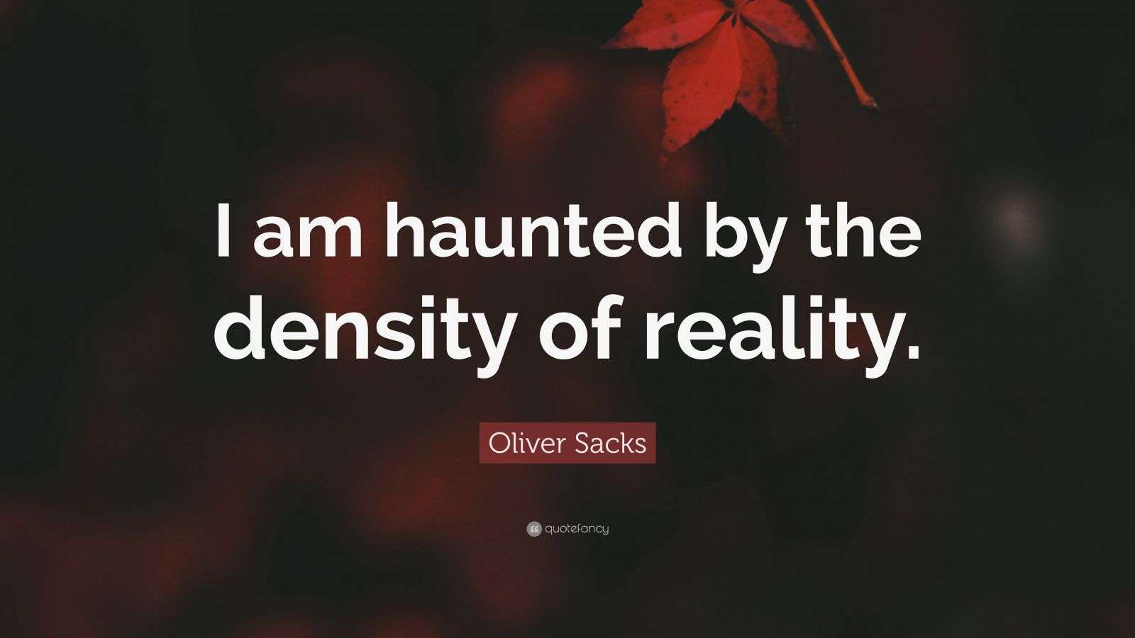 Top 200 Oliver Sacks Quotes (2023 Update) [Page 5] - Quotefancy