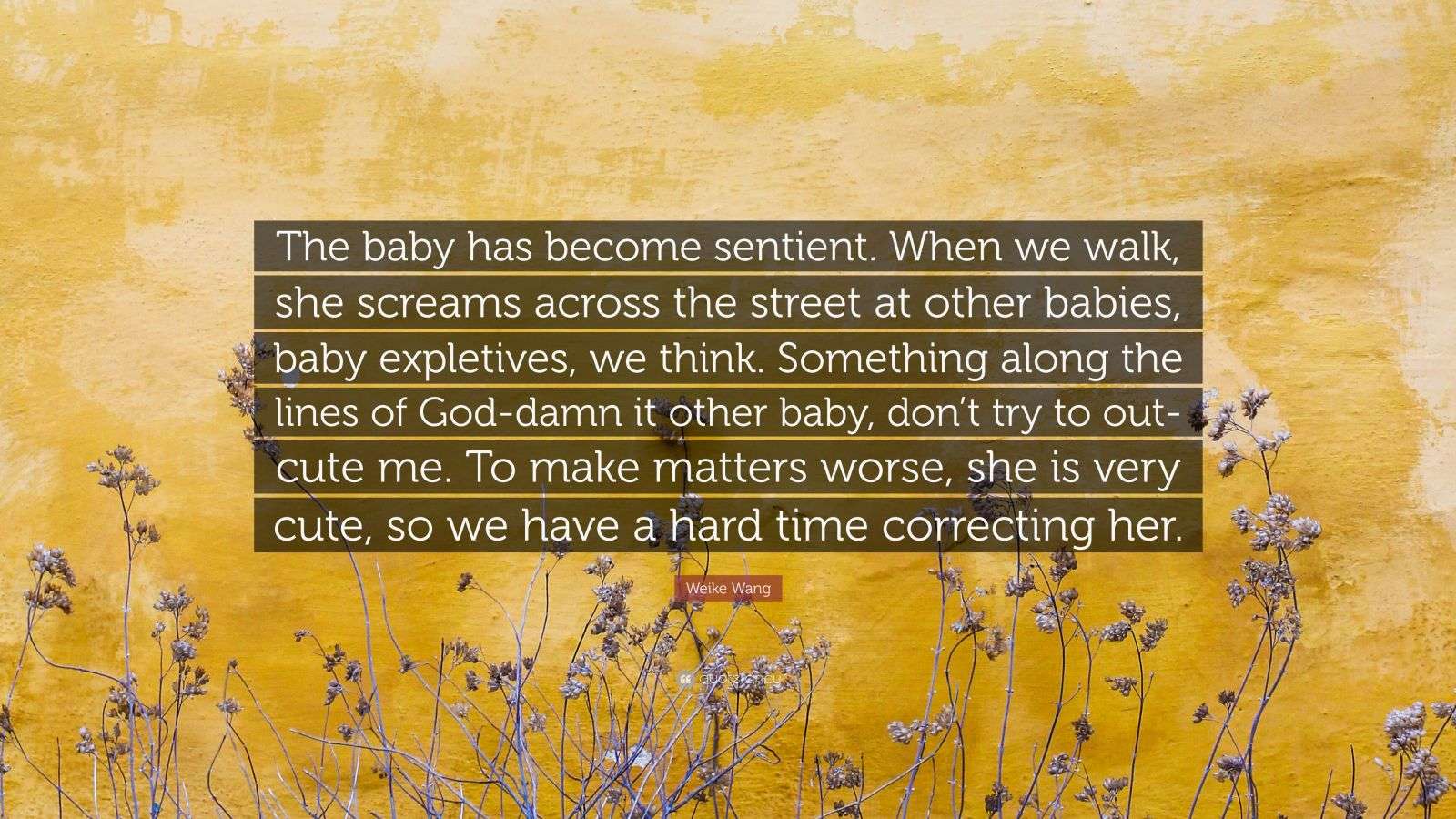 Weike Wang Quote: “The baby has become sentient. When we walk, she ...