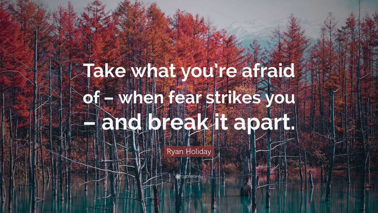 Ryan Holiday Quote: “Take what you’re afraid of – when fear strikes you ...