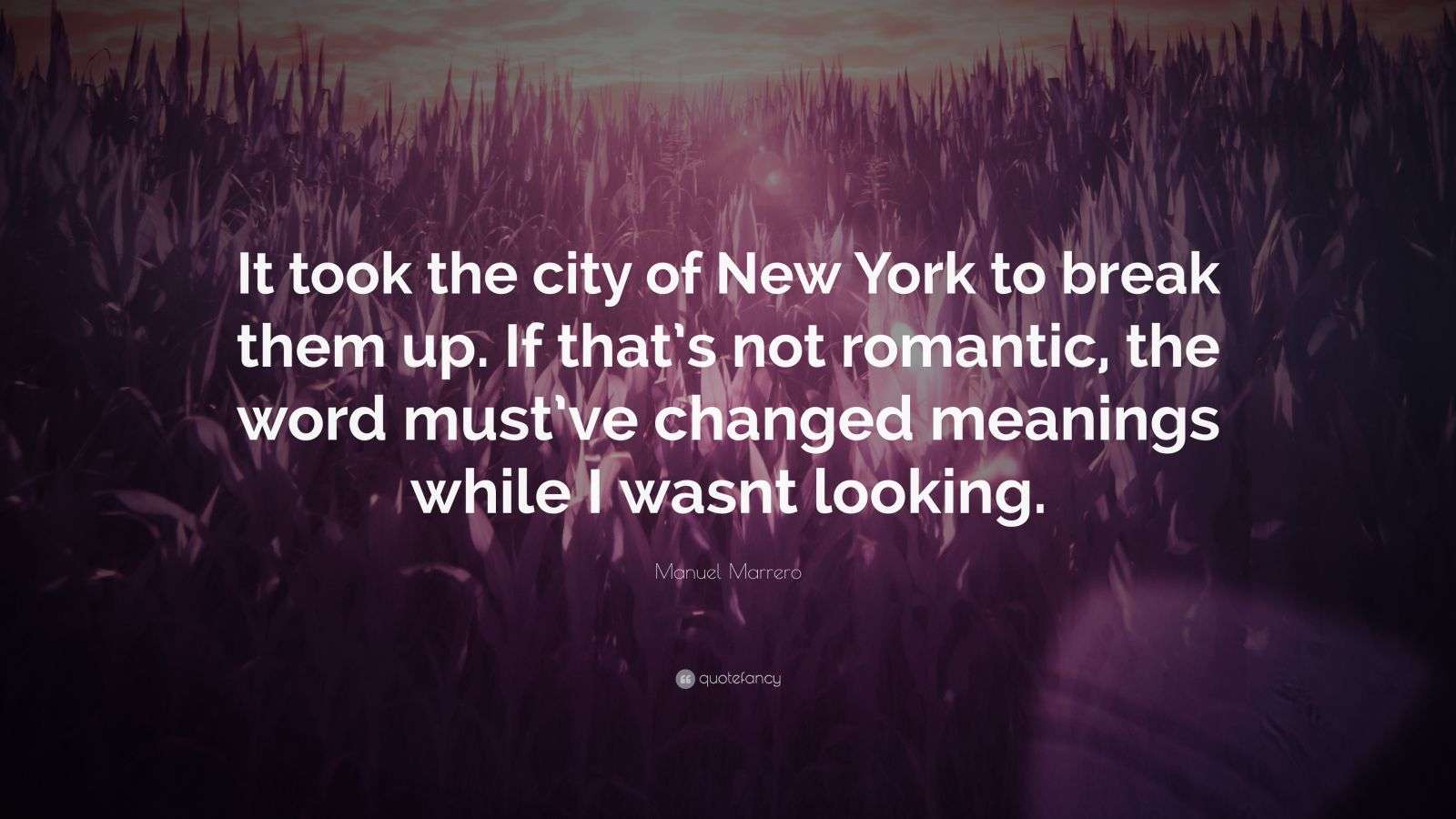 Manuel Marrero Quote: “It took the city of New York to break them up ...
