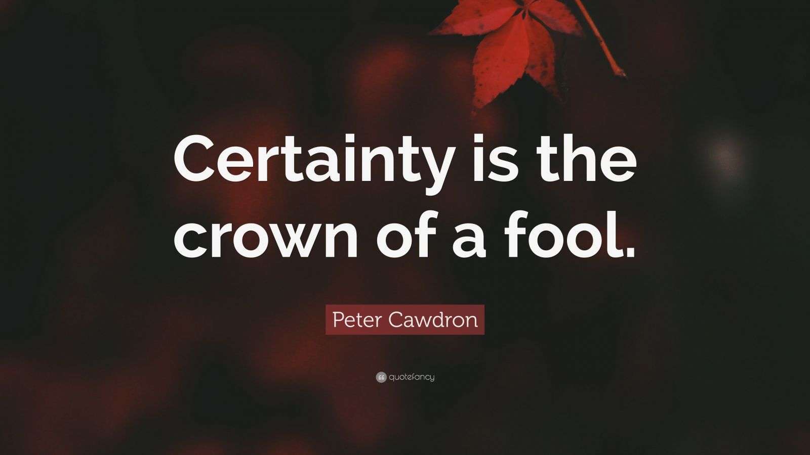Peter Cawdron Quote: “Certainty is the crown of a fool.”