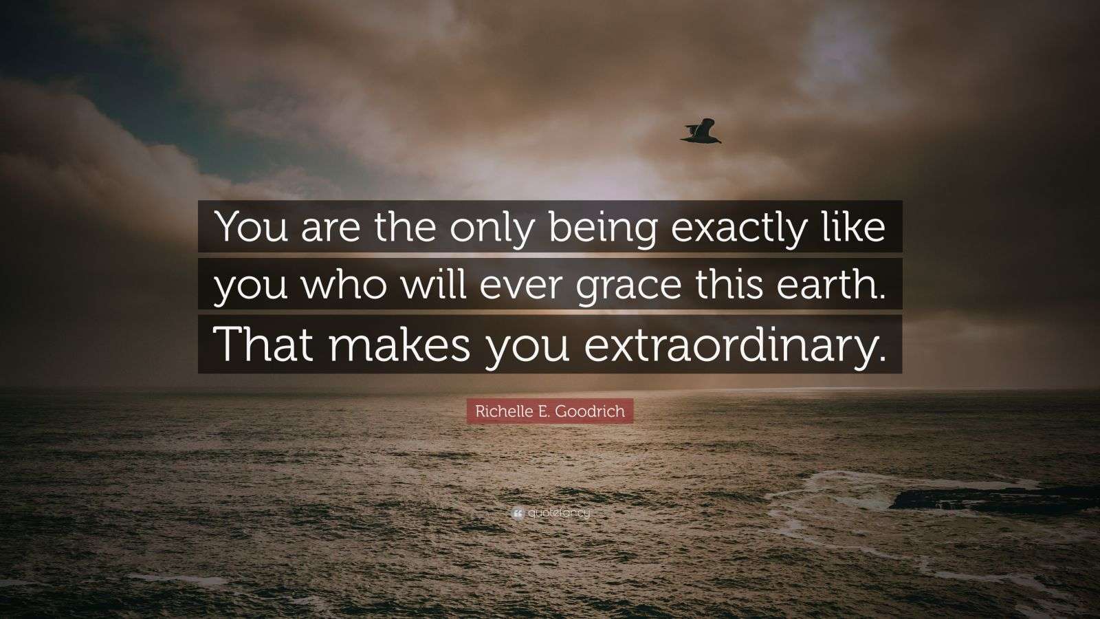 Richelle E. Goodrich Quote: “You are the only being exactly like you ...