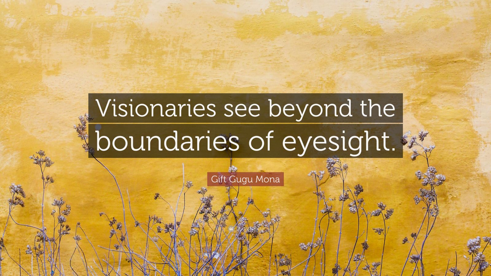 Gift Gugu Mona Quote: “Visionaries see beyond the boundaries of eyesight.”