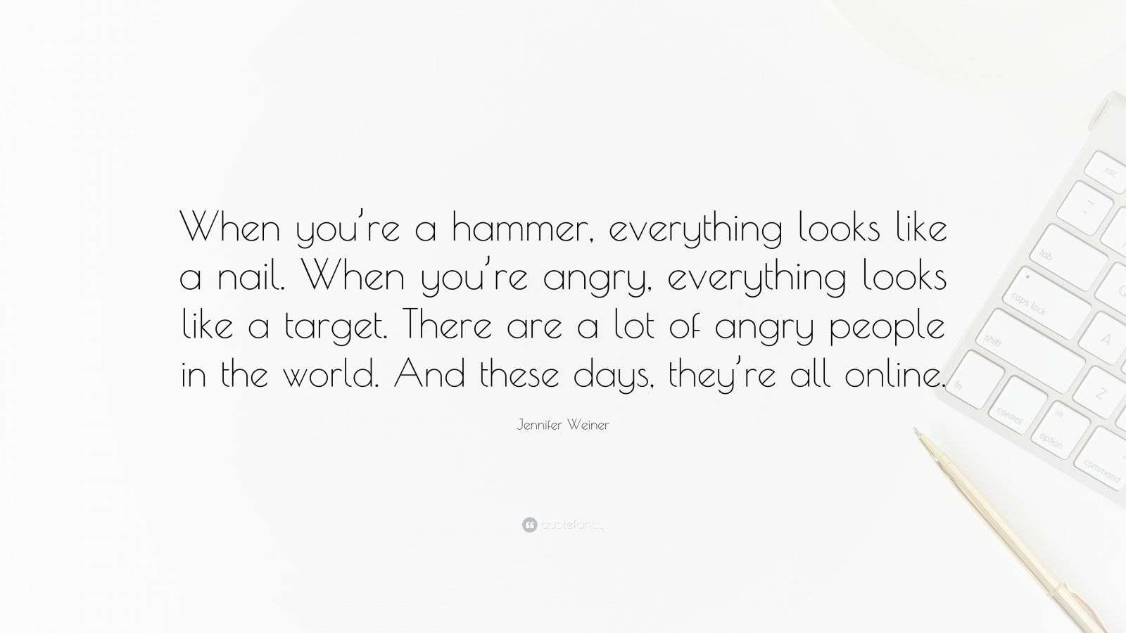Jennifer Weiner Quote: “When you’re a hammer, everything looks like a ...