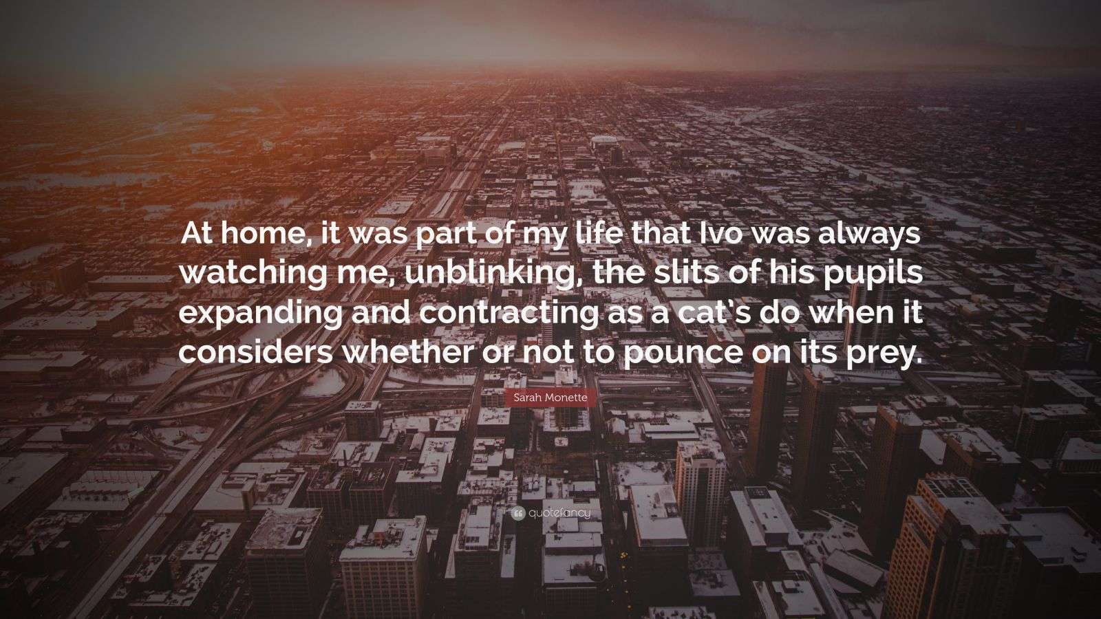 Sarah Monette Quote: “At home, it was part of my life that Ivo was ...