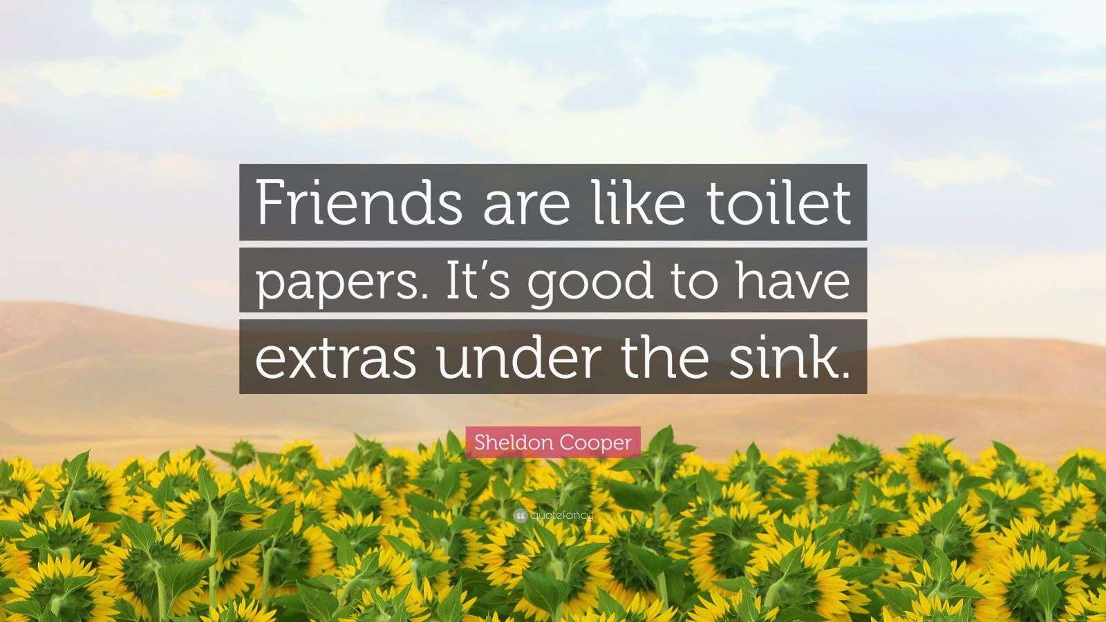 Sheldon Cooper Quote: “Friends are like toilet papers. It’s good to ...