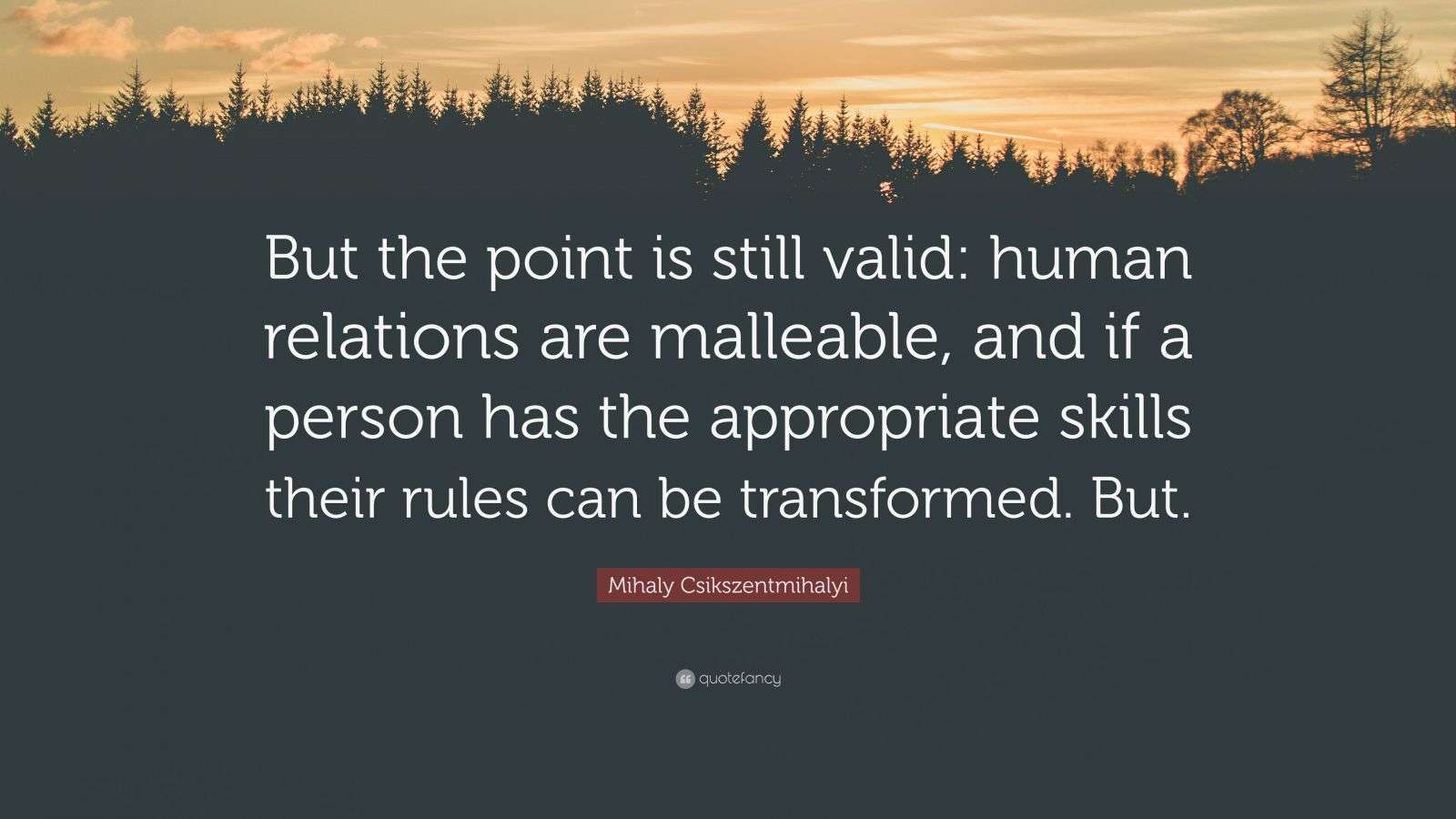 Mihaly Csikszentmihalyi Quote: “But the point is still valid: human ...