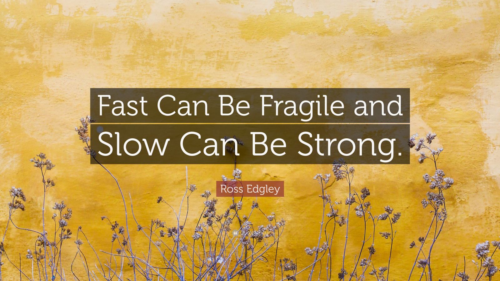 Ross Edgley Quote: “Fast Can Be Fragile and Slow Can Be Strong.”
